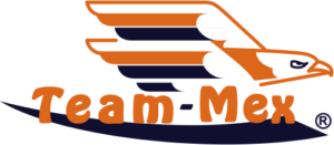 Rastrear – Paqueteria Teammex